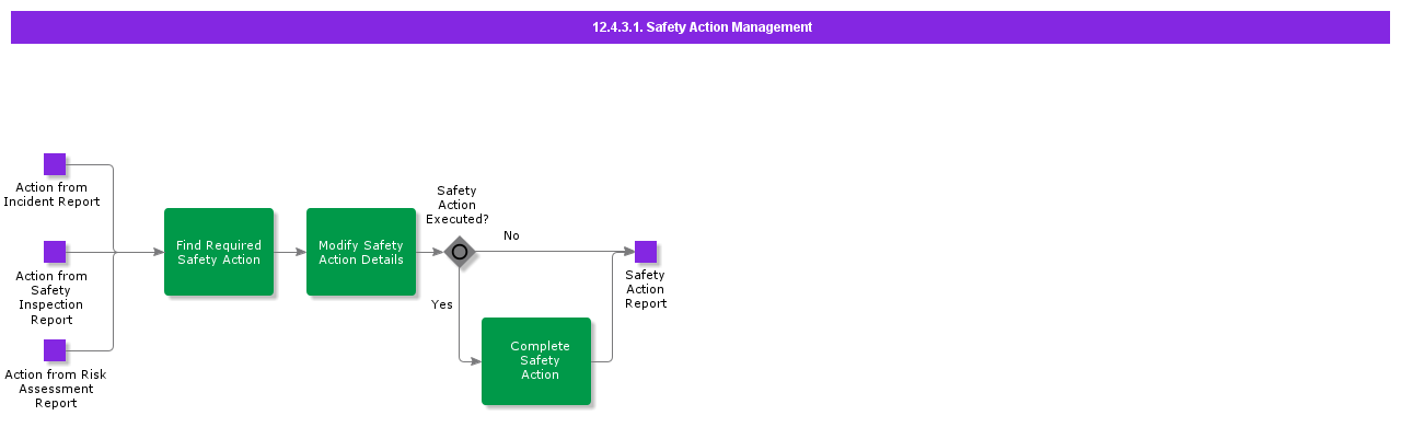 12.4.3.1 Safety Action Management
