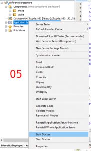 Developing projection java implementation using Docker - Technical ...