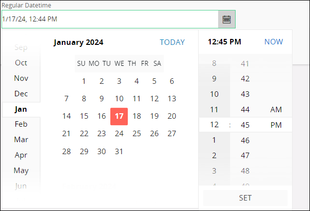 Date Time Picker - Technical Documentation For IFS Cloud