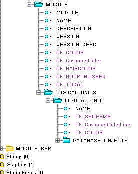 Custom fields - Technical Documentation For IFS Cloud