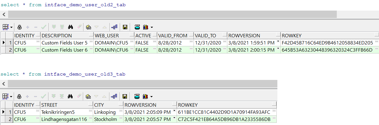 Migrate data into Custom Fields - Technical Documentation For IFS Cloud