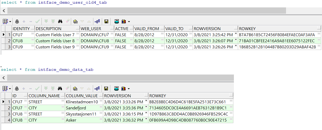 Migrate data into Custom Fields - Technical Documentation For IFS Cloud